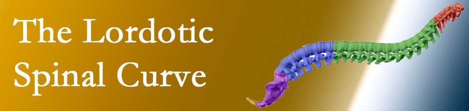 The Lordotic Spinal Curve and Williamson Chiropractic Care | Apple ...
